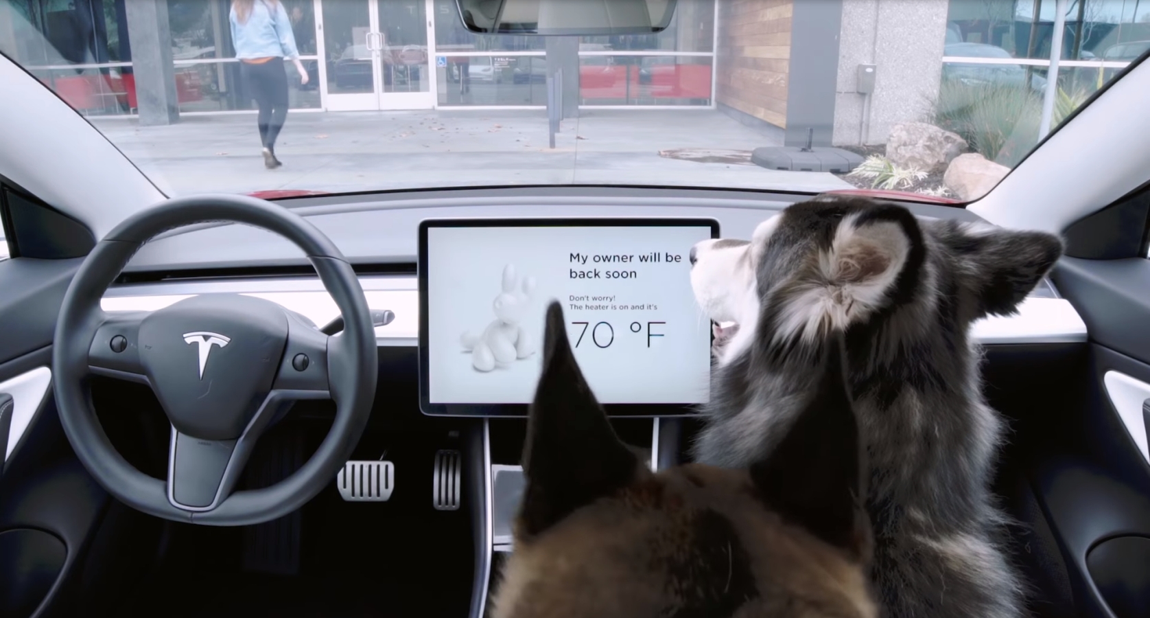 Video van de dag: zo werkt de Dog Mode van Tesla - AutoRAI.nl