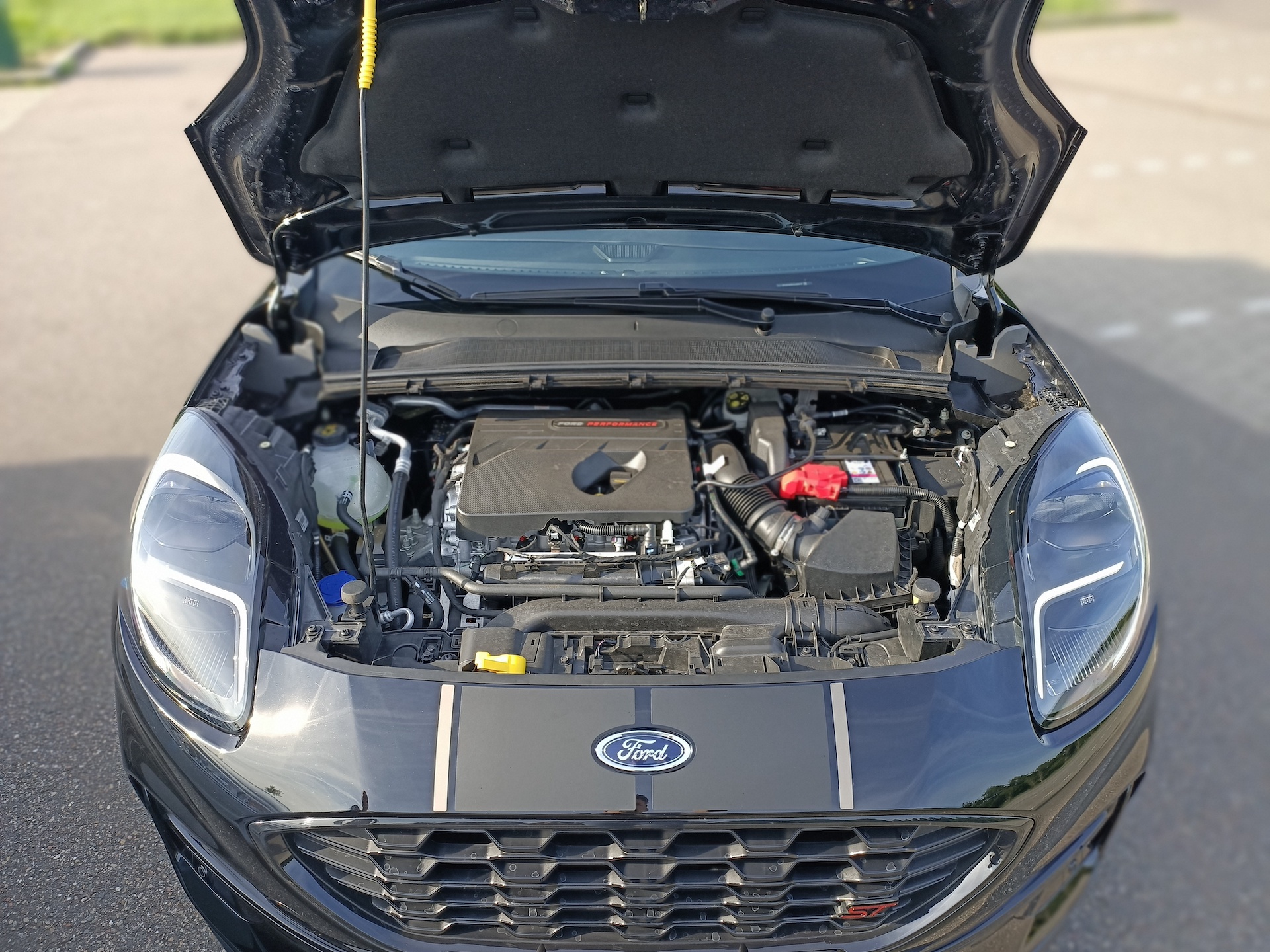 Ford Puma ST Gold Edition (2022) - Review & Video