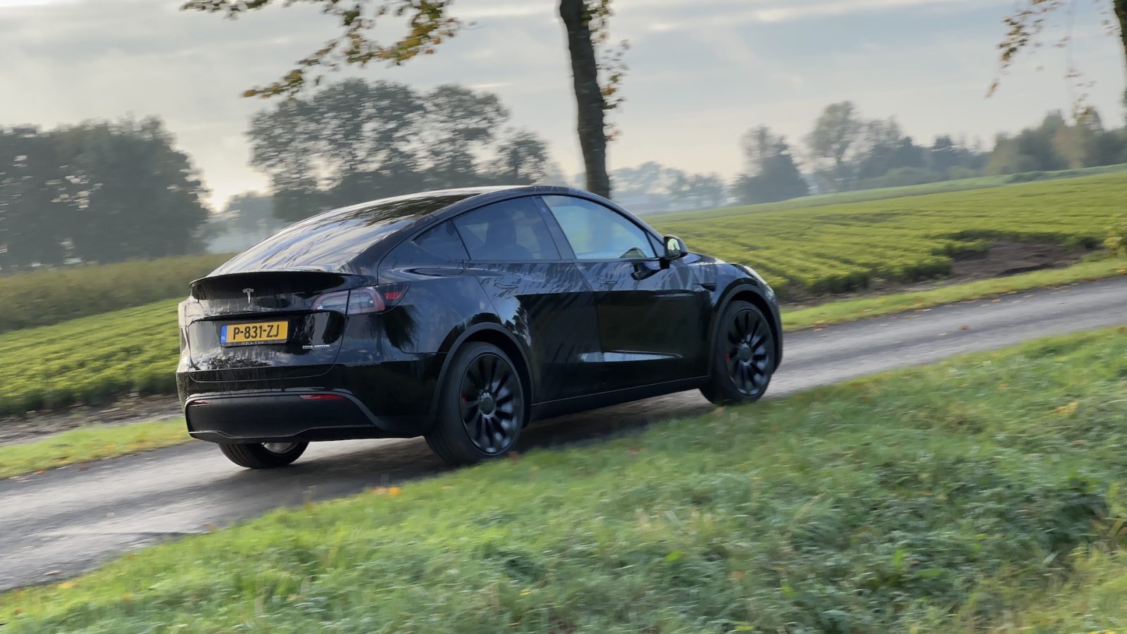 Review - Tesla Model Y Performance (2022)