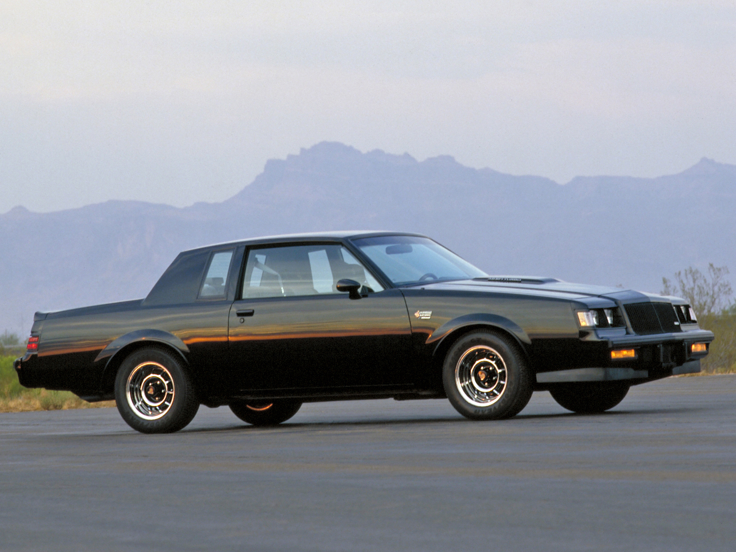 Gespot: een Buick Regal uit 1979 - AutoRAI.nl