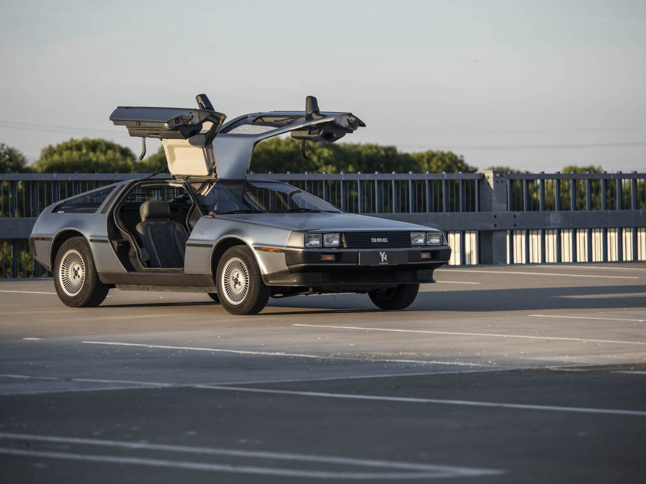 Autoportret: De DeLorean DMC-12 van Erik